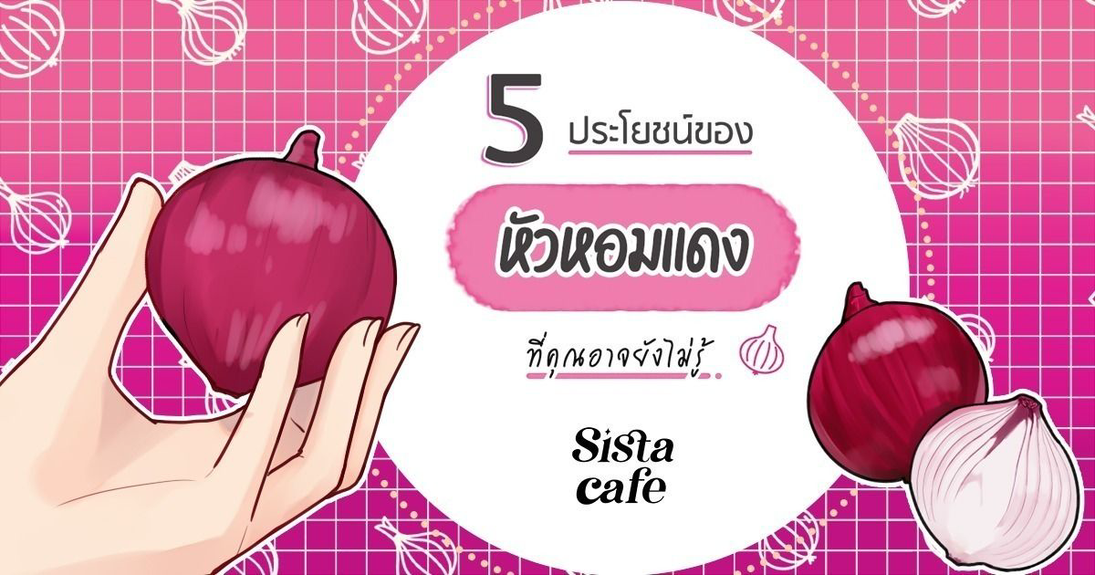 5 ประโยชน์ของหัวหอมแดง ที่คุณอาจยังไม่รู้ ! | บทความของ Ammy | SistaCafe ครบเครื่องเรื่องบิวตี้